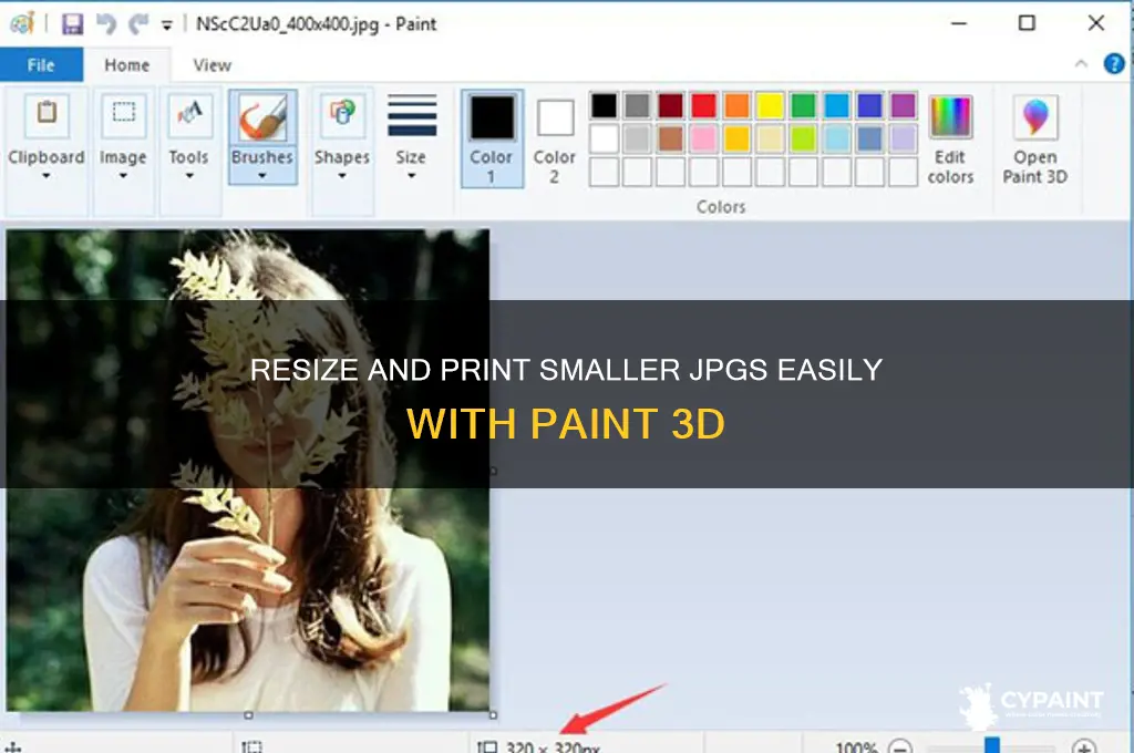 Resize And Print Smaller Jpgs Easily With Paint 3D | CyPaint