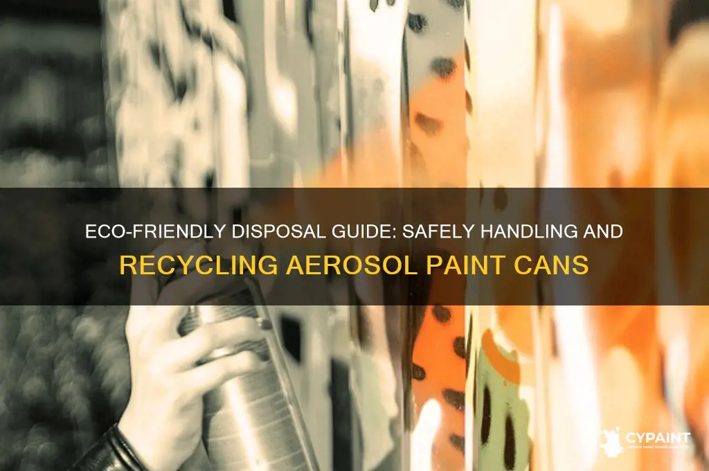 Eco-Friendly Disposal Guide: Safely Handling And Recycling Aerosol ...
