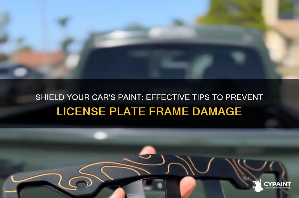 Shield Your Car's Paint: Effective Tips To Prevent License Plate Frame ...