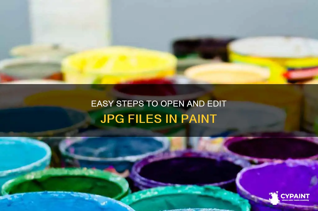 Easy Steps To Open And Edit Jpg Files In Paint | CyPaint