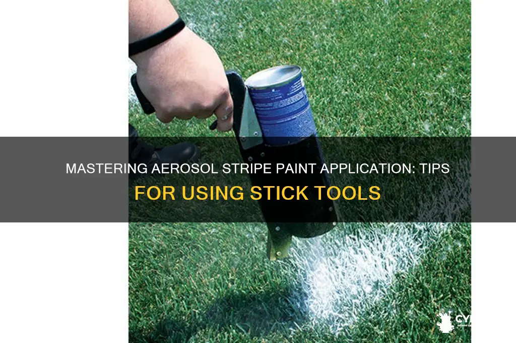 Mastering Aerosol Stripe Paint Application: Tips For Using Stick Tools ...