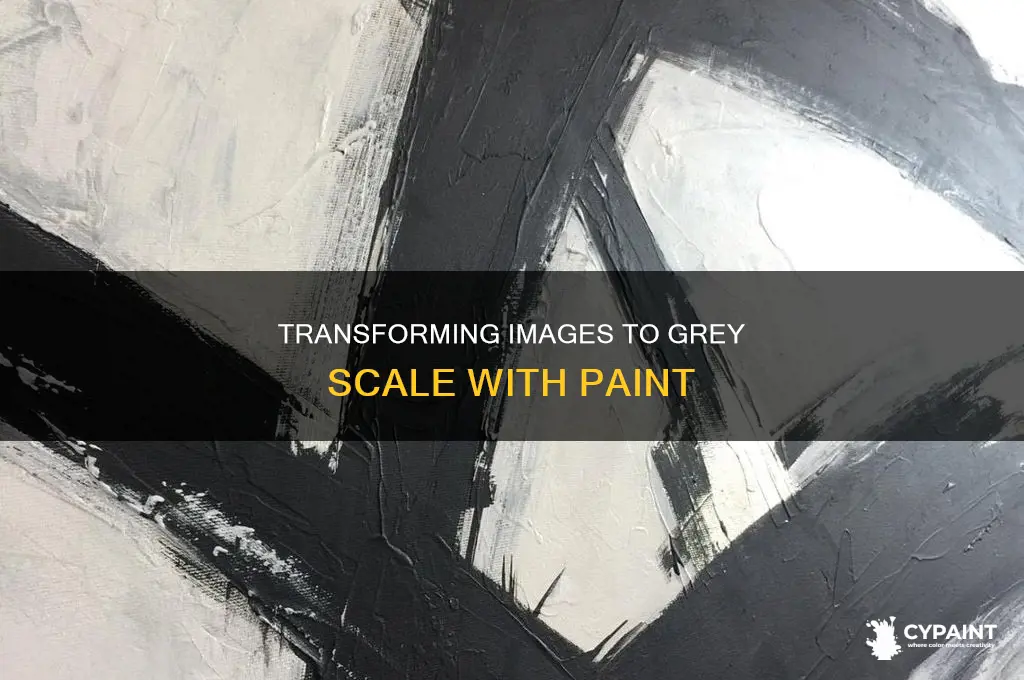 Transforming Images To Grey Scale With Paint | CyPaint
