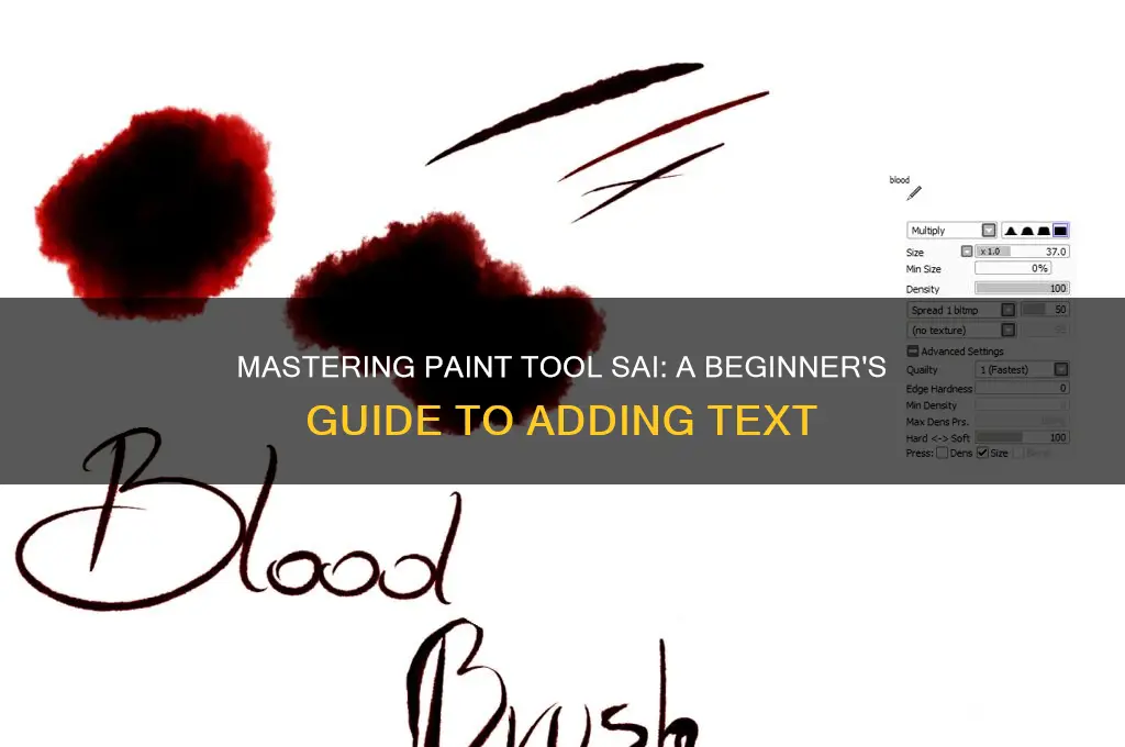 Mastering Paint Tool Sai: A Beginner's Guide To Adding Text | CyPaint