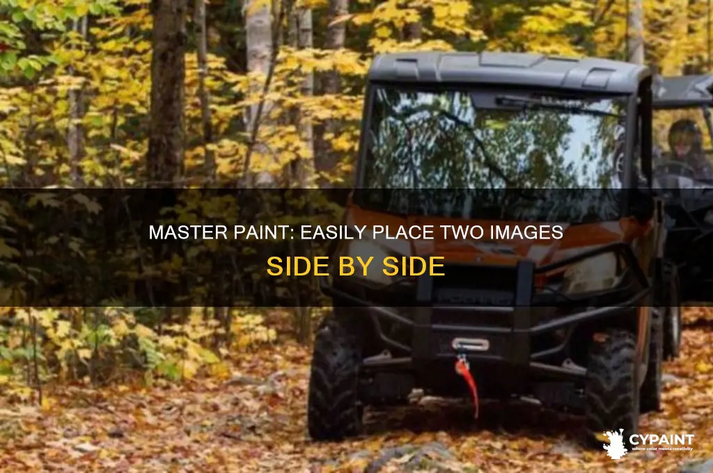 Master Paint: Easily Place Two Images Side By Side | CyPaint