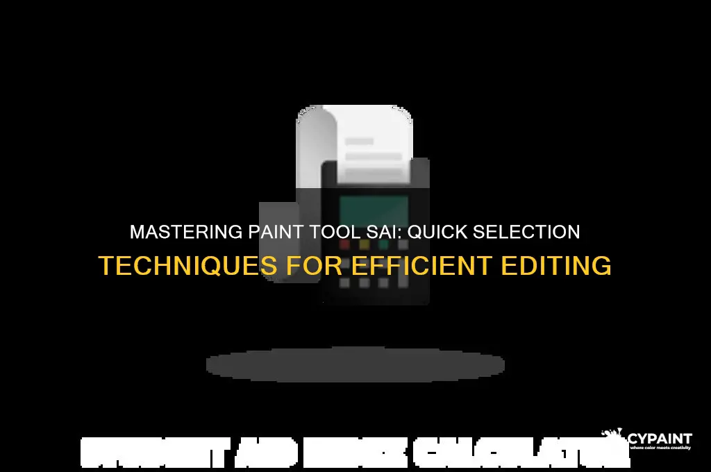 Mastering Paint Tool Sai: Quick Selection Techniques For Efficient ...