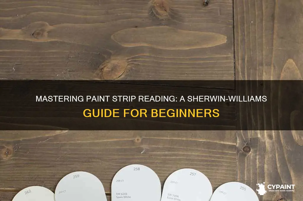 Mastering Paint Strip Reading: A Sherwin-Williams Guide For Beginners ...