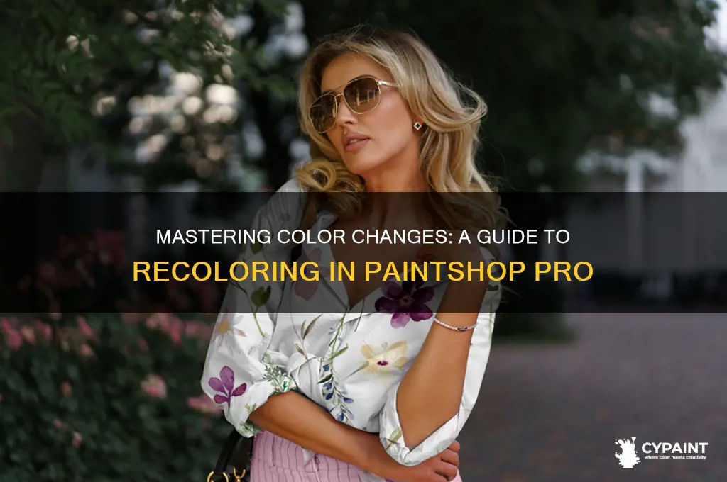 Mastering Color Changes: A Guide To Recoloring In Paintshop Pro | CyPaint
