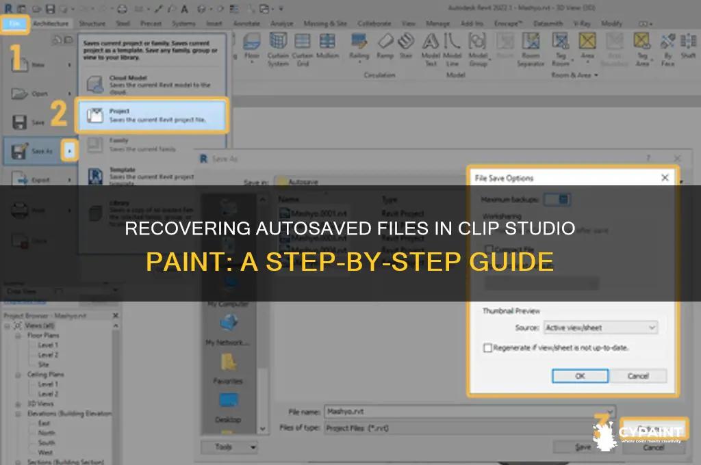 Recovering Autosaved Files In Clip Studio Paint: A Step-By-Step Guide ...