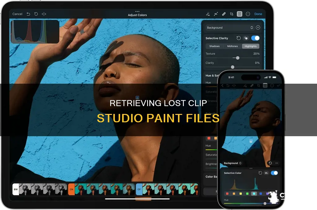 Retrieving Lost Clip Studio Paint Files | CyPaint