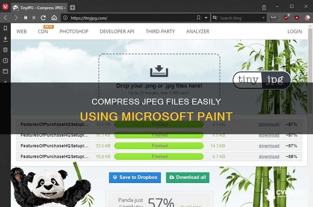 Compress Jpeg Files Easily Using Microsoft Paint | CyPaint