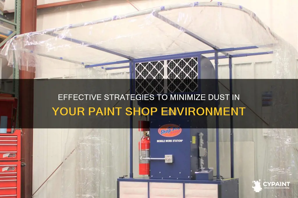 Effective Strategies To Minimize Dust In Your Paint Shop Environment ...