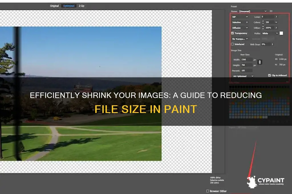 Efficiently Shrink Your Images: A Guide To Reducing File Size In Paint ...