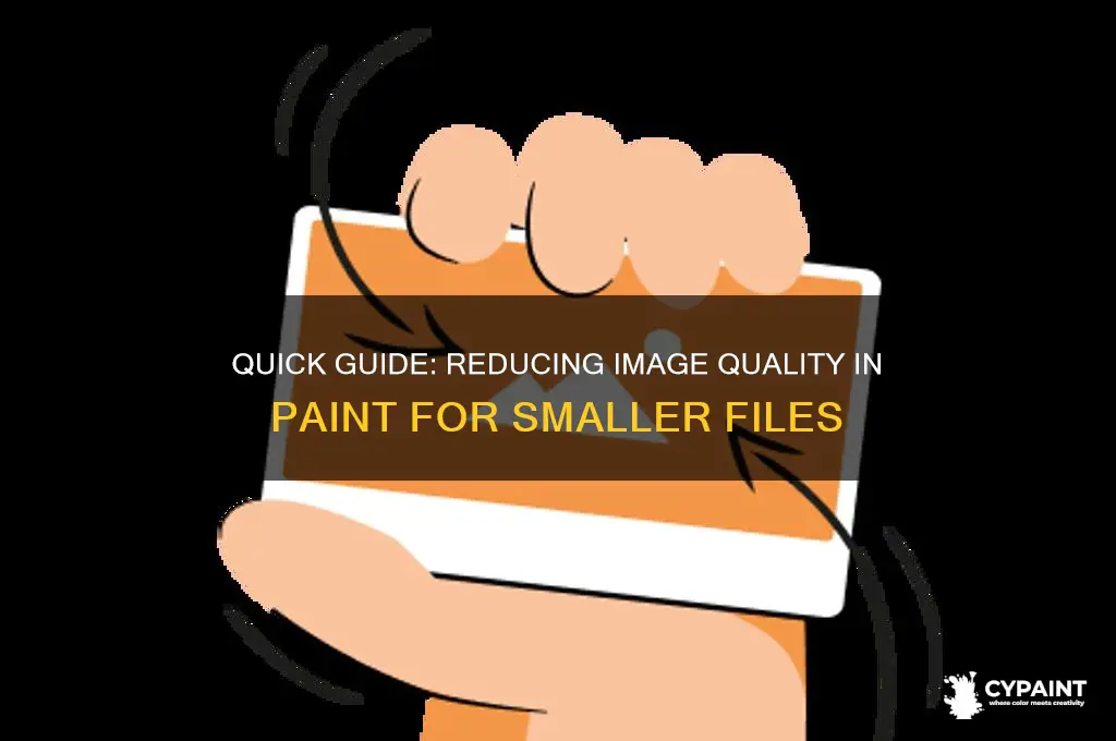 Quick Guide: Reducing Image Quality In Paint For Smaller Files | CyPaint