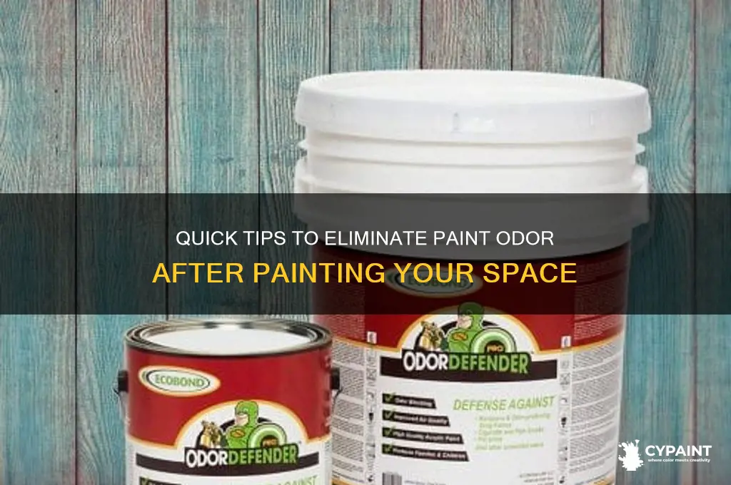 Quick Tips To Eliminate Paint Odor After Painting Your Space | CyPaint