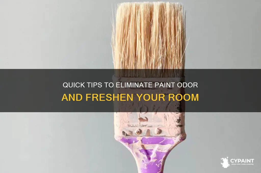 Quick Tips To Eliminate Paint Odor And Freshen Your Room | CyPaint