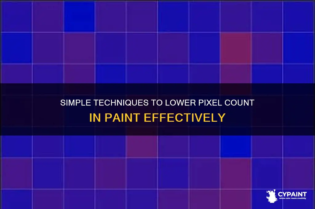 Simple Techniques To Lower Pixel Count In Paint Effectively | CyPaint