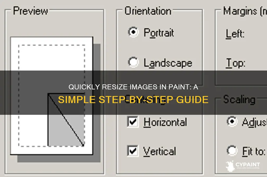 Quickly Resize Images In Paint: A Simple Step-By-Step Guide | CyPaint