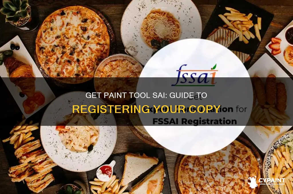 Get Paint Tool Sai: Guide To Registering Your Copy | CyPaint