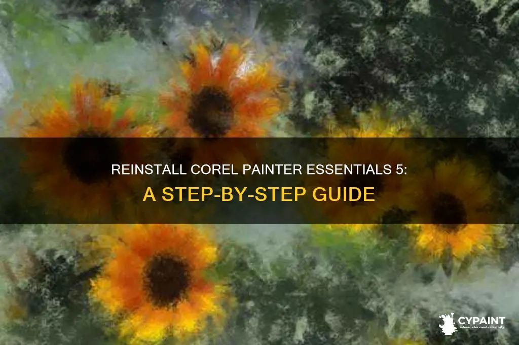 Reinstall Corel Painter Essentials 5: A Step-By-Step Guide | CyPaint