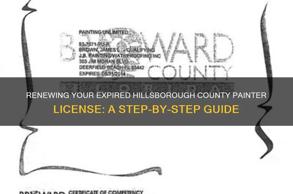 Renewing Your Expired Hillsborough County Painter License: A Step-By ...