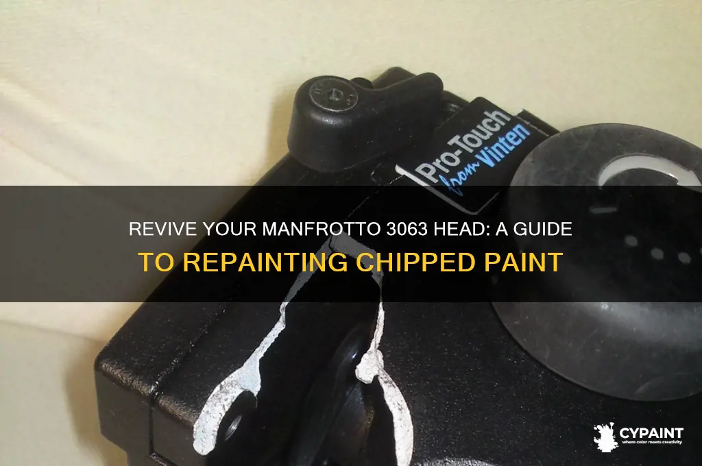 Revive Your Manfrotto 3063 Head: A Guide To Repainting Chipped Paint ...