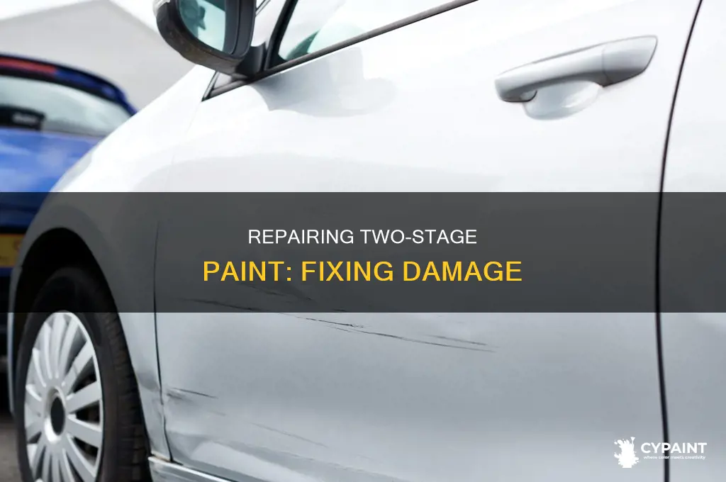 Repairing Two-Stage Paint: Fixing Damage | CyPaint