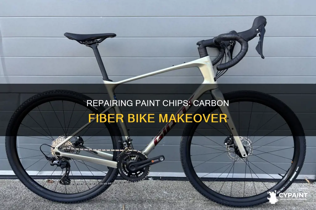 Repairing Paint Chips: Carbon Fiber Bike Makeover | CyPaint