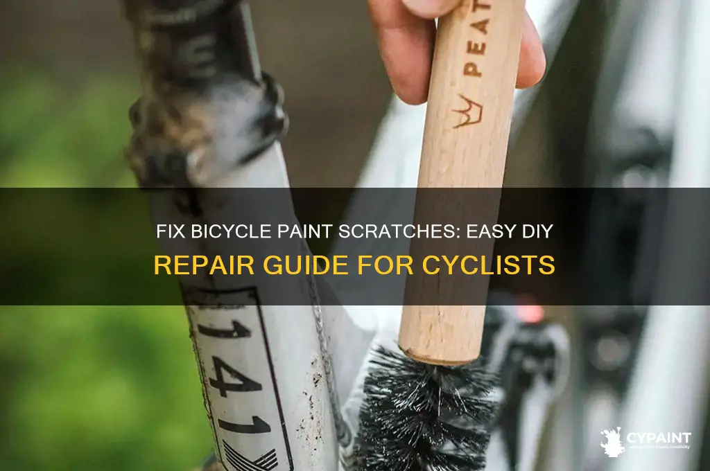 Fix Bicycle Paint Scratches: Easy Diy Repair Guide For Cyclists | CyPaint