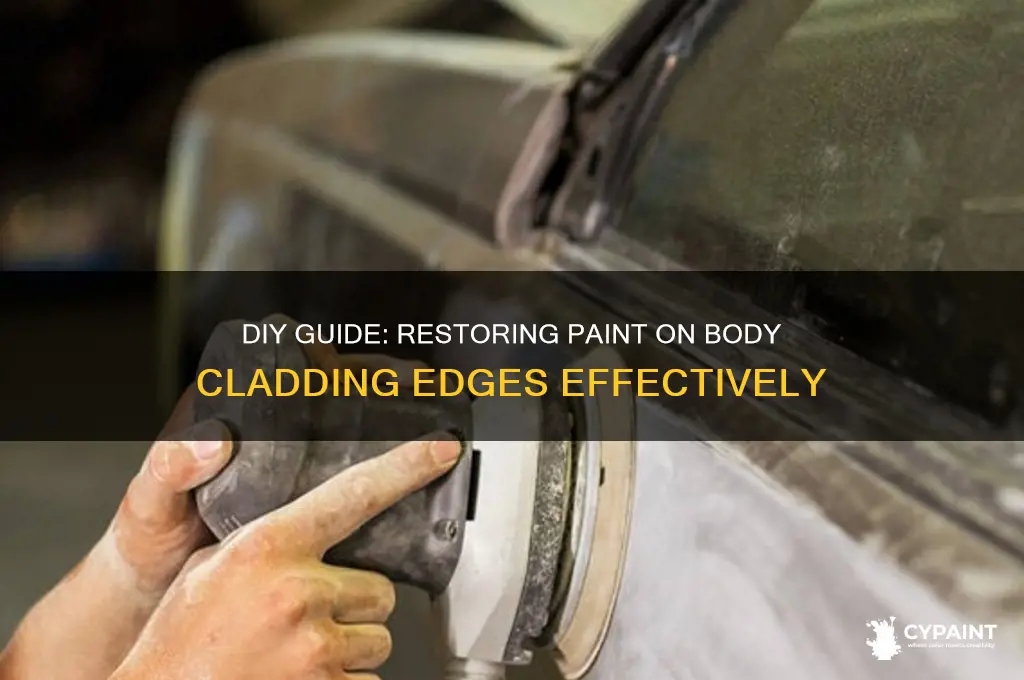 Diy Guide: Restoring Paint On Body Cladding Edges Effectively | CyPaint