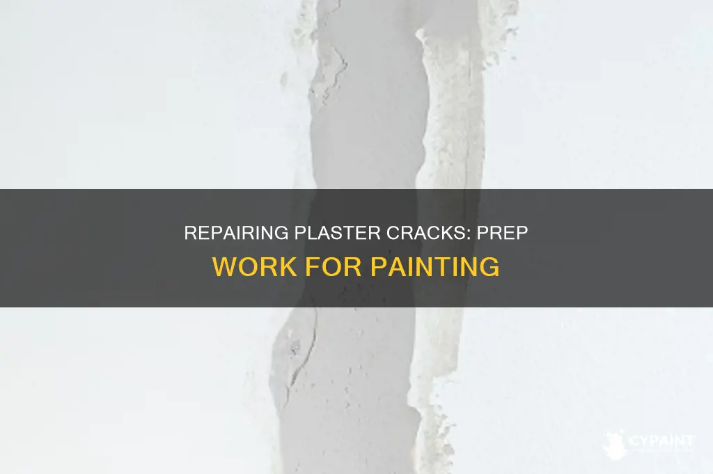 Repairing Plaster Cracks: Prep Work For Painting | CyPaint