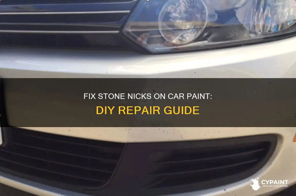 Fix Stone Nicks On Car Paint: Diy Repair Guide | CyPaint