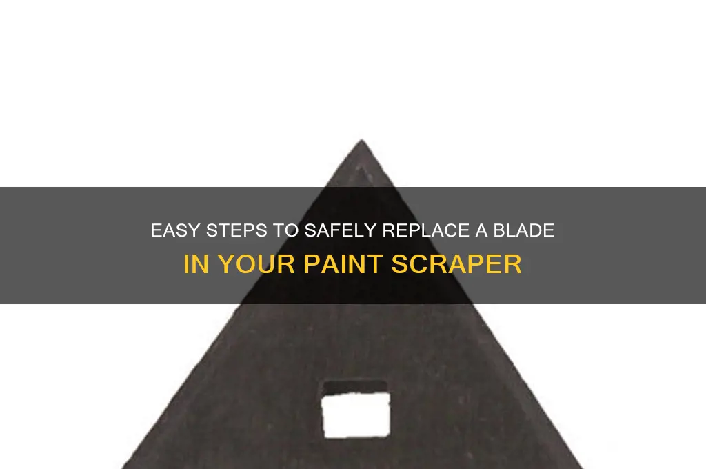 Easy Steps To Safely Replace A Blade In Your Paint Scraper | CyPaint