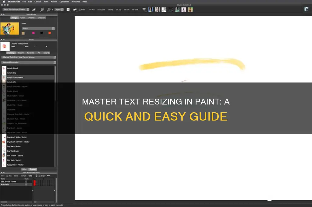 Master Text Resizing In Paint: A Quick And Easy Guide | CyPaint