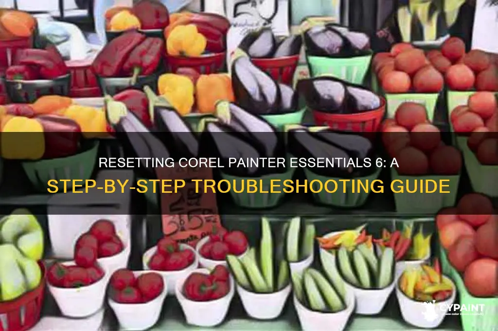 Resetting Corel Painter Essentials 6: A Step-By-Step Troubleshooting ...