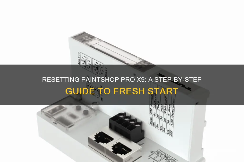 Resetting Paintshop Pro X9: A Step-By-Step Guide To Fresh Start | CyPaint