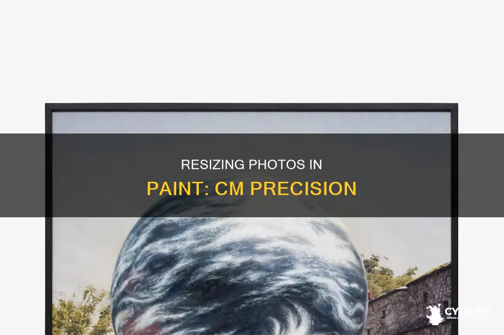 Resizing Photos In Paint: Cm Precision | CyPaint