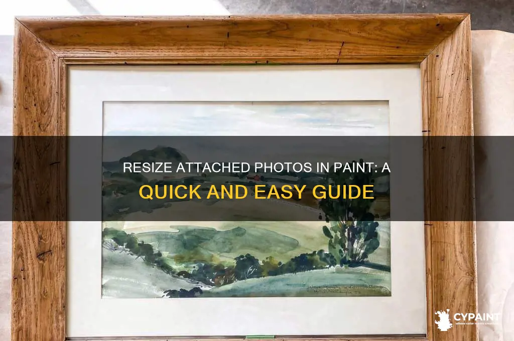 Resize Attached Photos In Paint: A Quick And Easy Guide | CyPaint