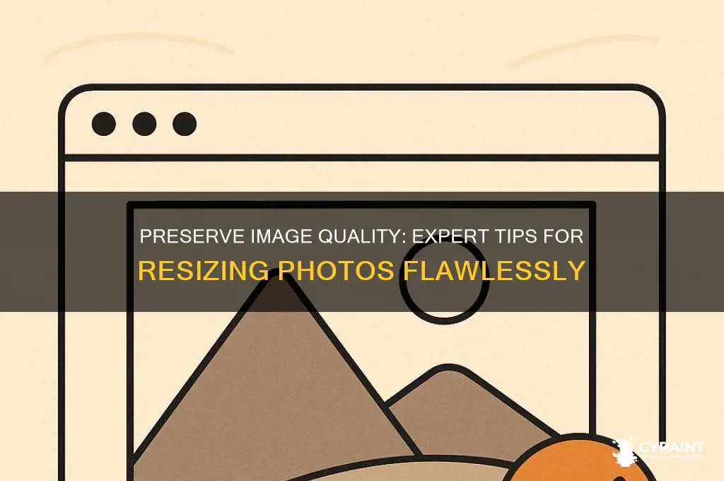 Preserve Image Quality: Expert Tips For Resizing Photos Flawlessly ...