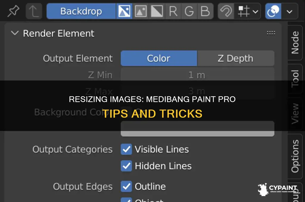 Resizing Images: Medibang Paint Pro Tips And Tricks | CyPaint