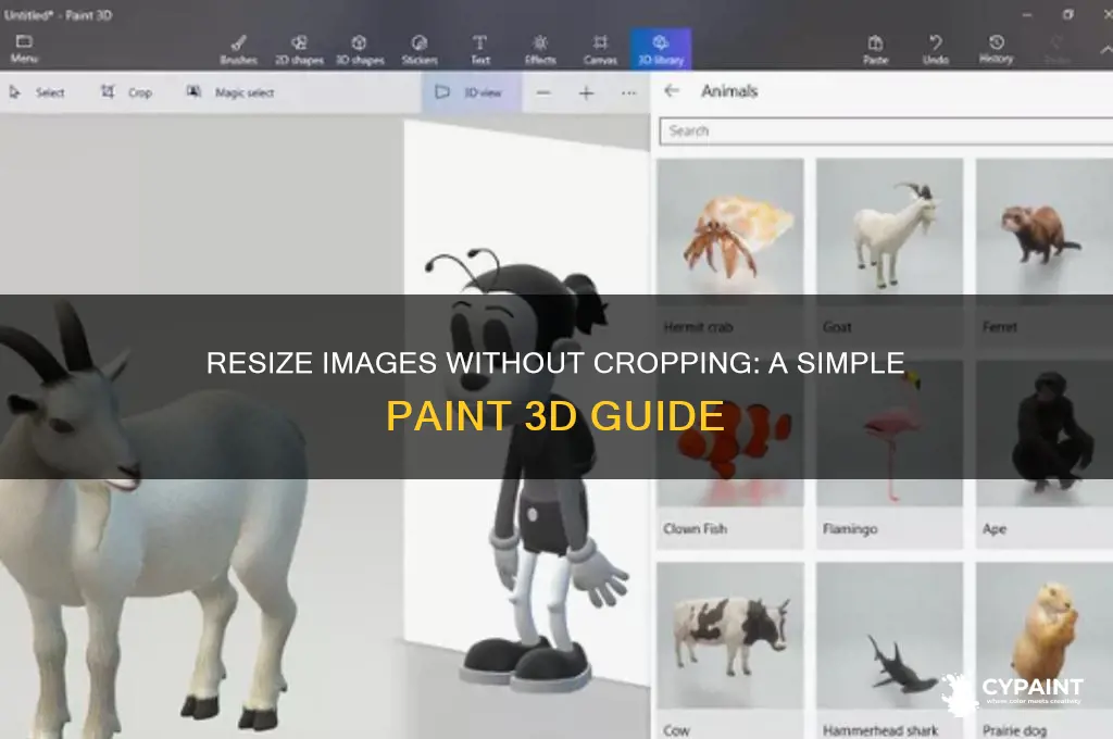 Resize Images Without Cropping: A Simple Paint 3D Guide | CyPaint