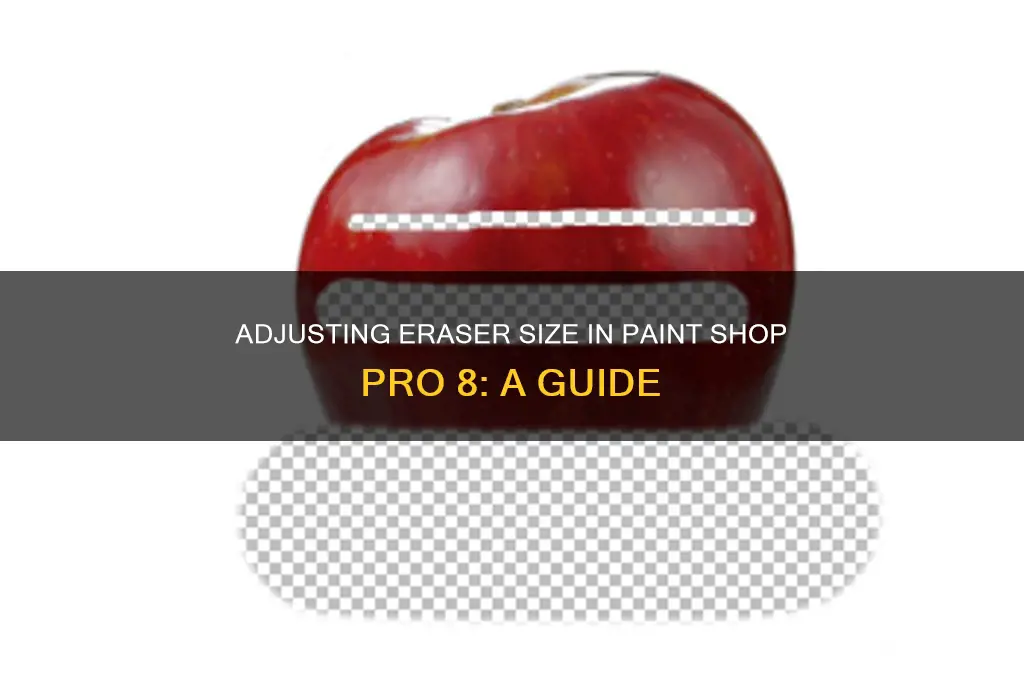 Adjusting Eraser Size In Paint Shop Pro 8: A Guide | CyPaint