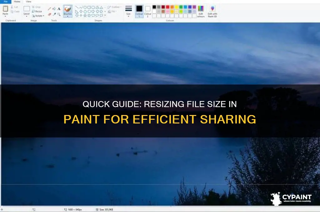 Quick Guide: Resizing File Size In Paint For Efficient Sharing | CyPaint