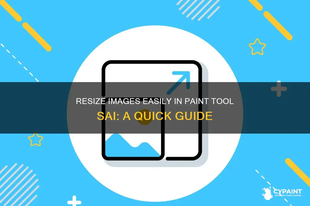 Resize Images Easily In Paint Tool Sai: A Quick Guide | CyPaint