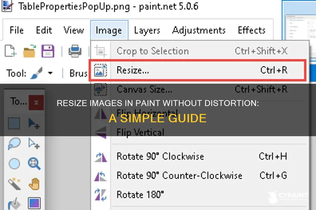 Resize Images In Paint Without Distortion: A Simple Guide | CyPaint