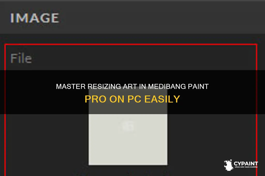 Master Resizing Art In Medibang Paint Pro On Pc Easily | CyPaint