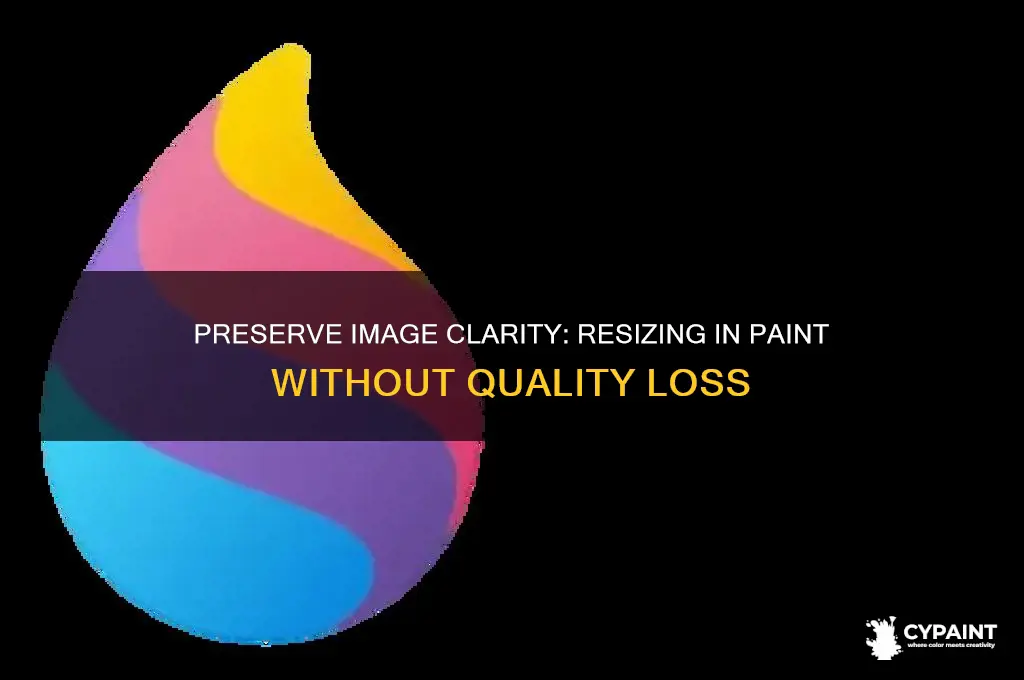 Preserve Image Clarity: Resizing In Paint Without Quality Loss | CyPaint