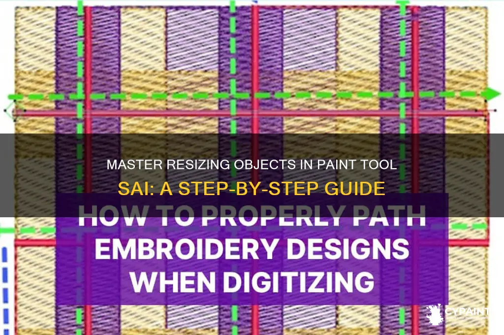 Master Resizing Objects In Paint Tool Sai: A Step-By-Step Guide | CyPaint