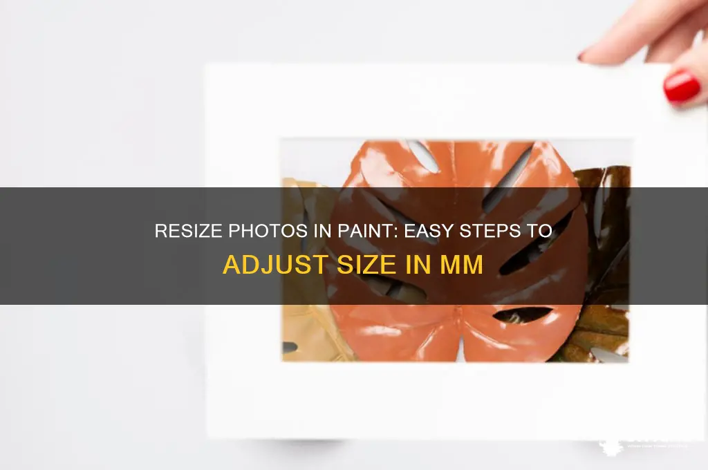 Resize Photos In Paint: Easy Steps To Adjust Size In Mm | CyPaint