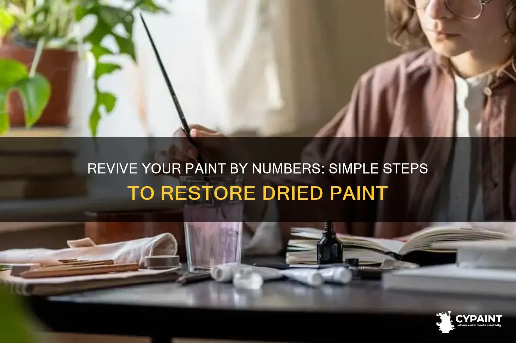Revive Your Paint By Numbers: Simple Steps To Restore Dried Paint | CyPaint