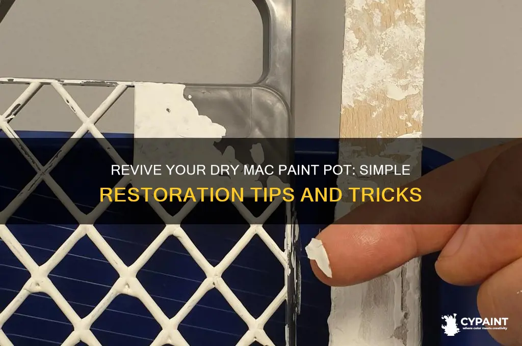 Revive Your Dry Mac Paint Pot: Simple Restoration Tips And Tricks | CyPaint